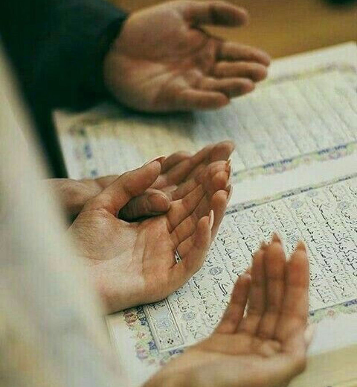 Mustafa Arja Muslim celebrant Sydney – Daleel