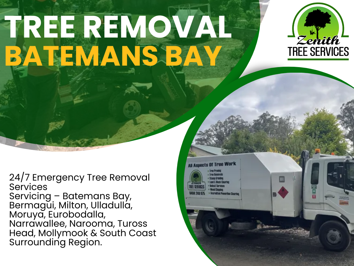 Zenith Tree Services – Daleel